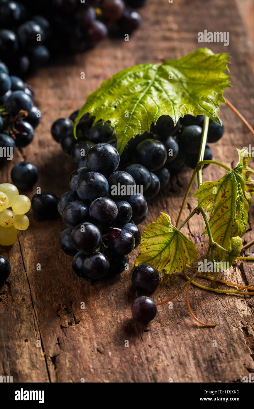 Grapes with leaves Stock Photo - Alamy