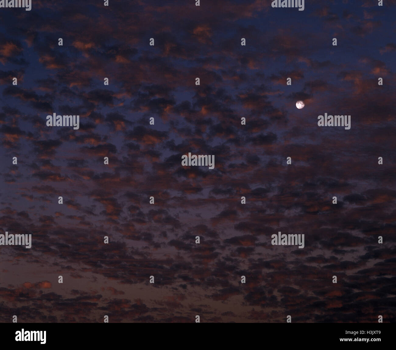 Clouds and full moon hi-res stock photography and images - Alamy