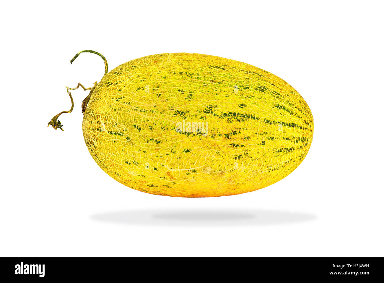 Melona Cut Out Stock Images & Pictures - Alamy