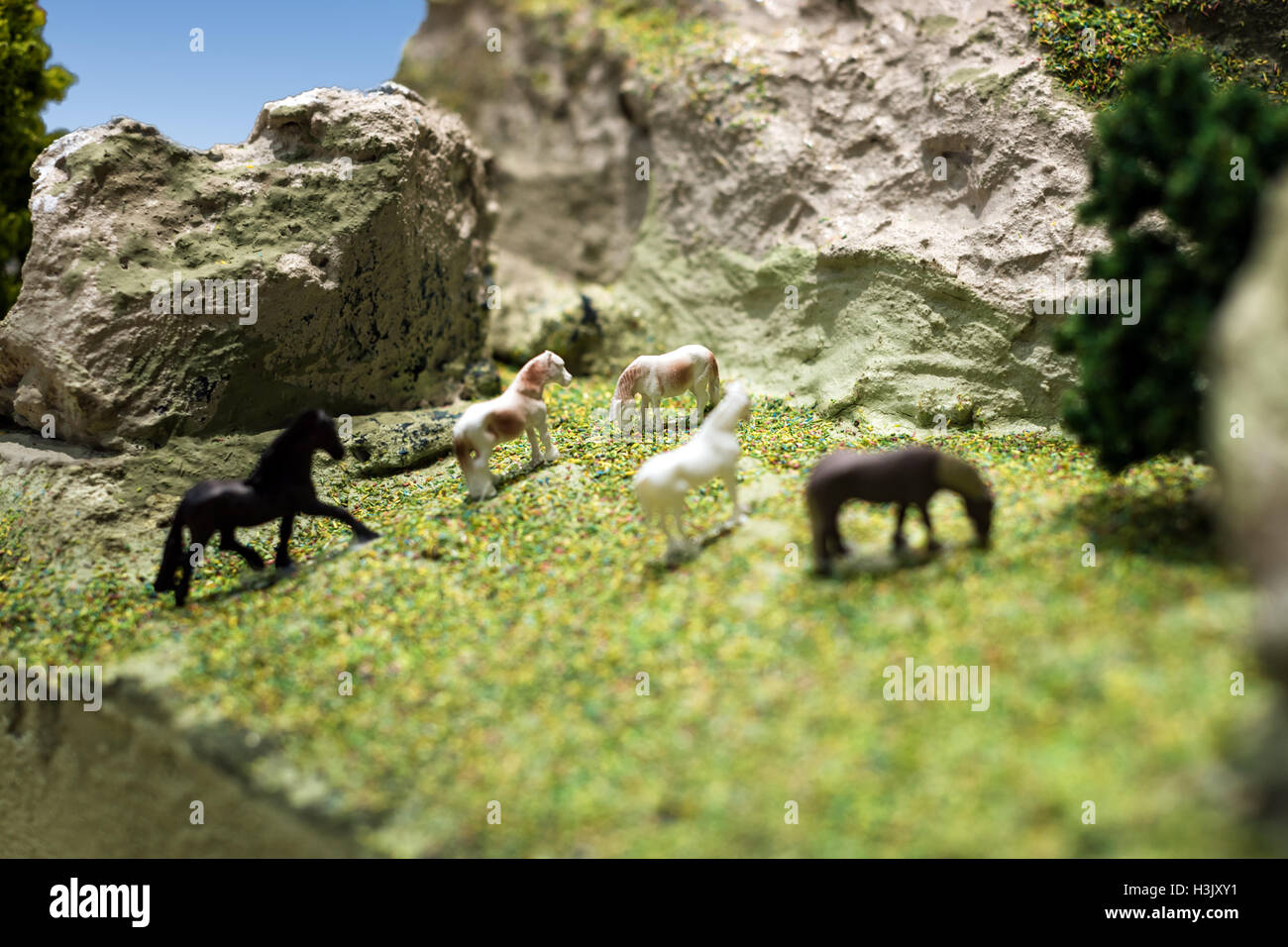 Miniature horse plastic toy model. Herd of horses grazing in the meadow ...