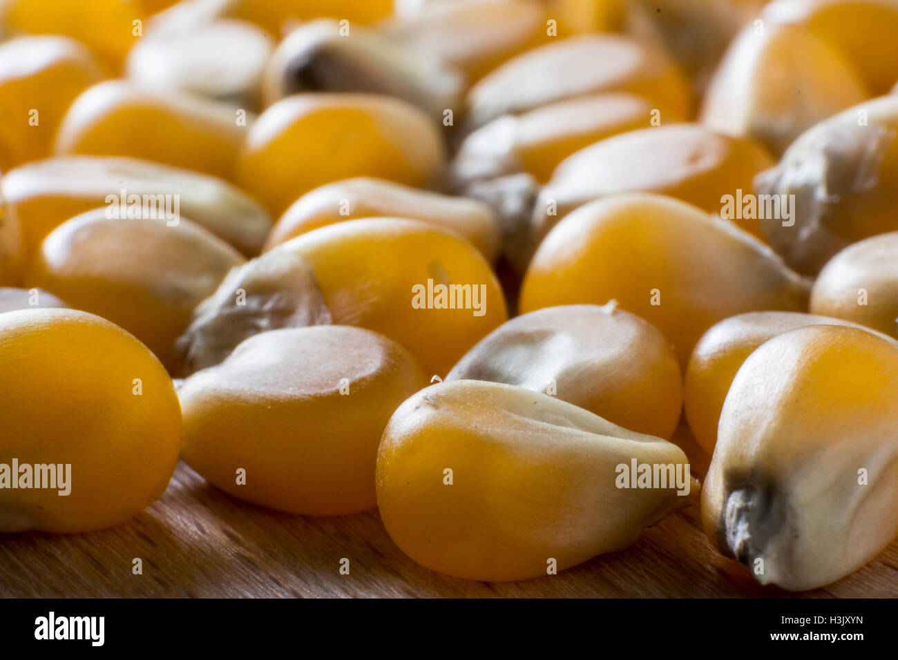 Dried white corn hi-res stock photography and images - Alamy