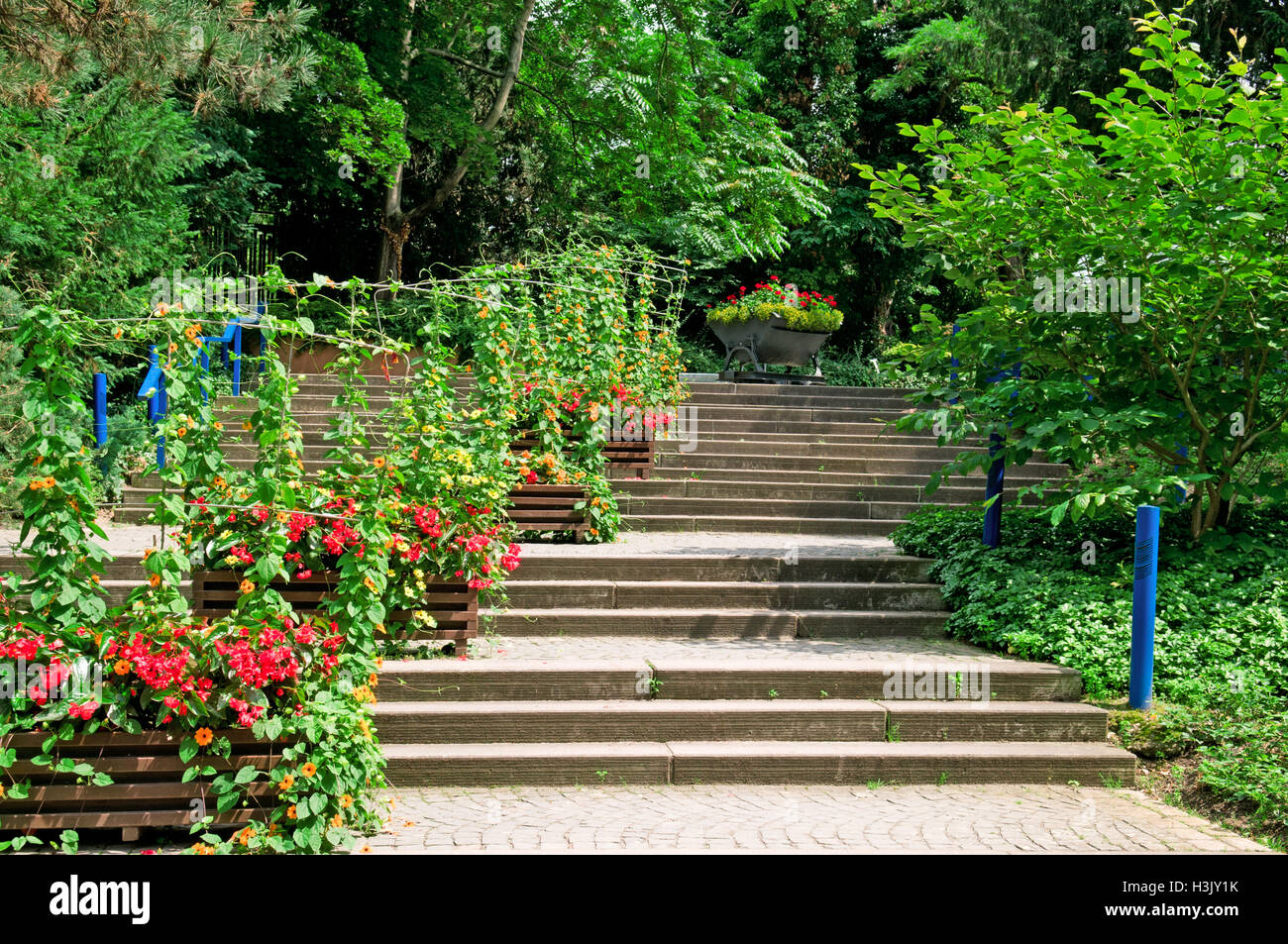 staircase in the cozy park and flowerbed Stock Photo - Alamy