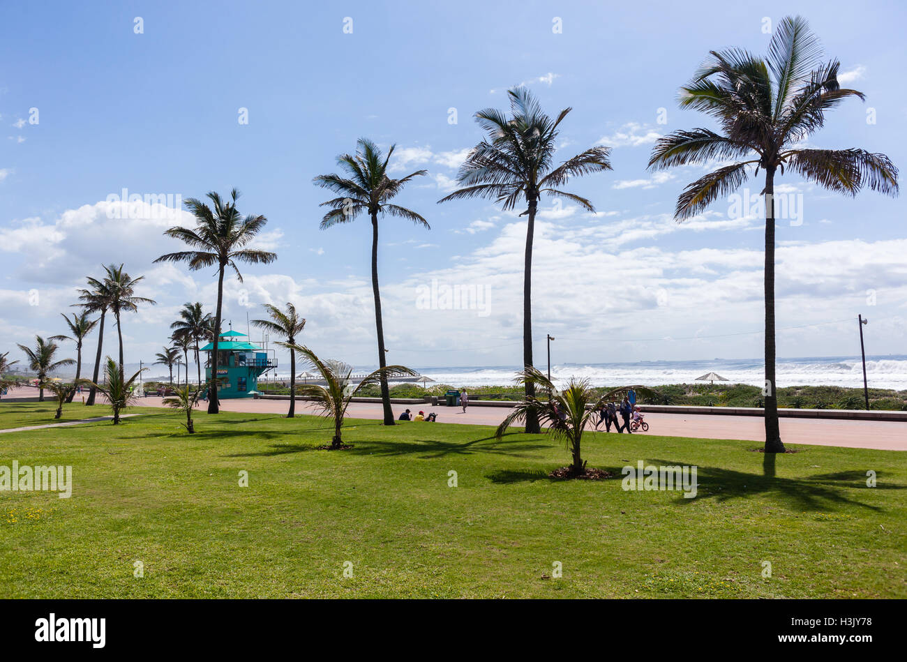 Coastline city beach's ocean promenade tropical palm trees landscape ...
