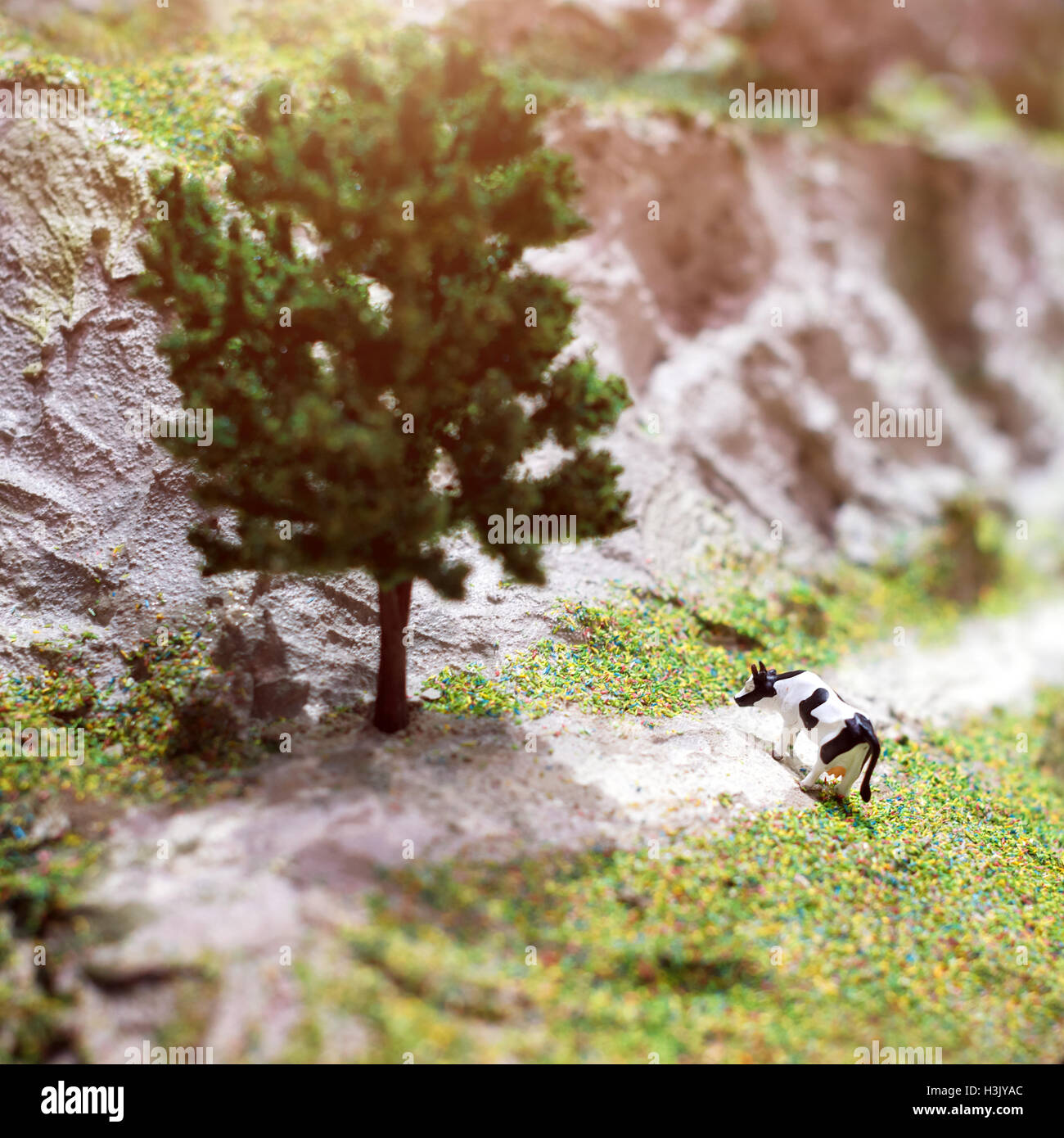 Miniature plastic toy cow on the lawn. Macro photography, shallow DOF ...