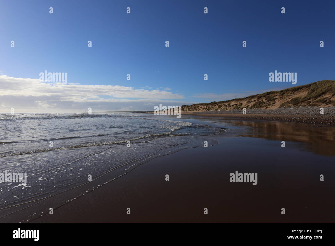 Dunes reflected in wet sand Montrose Bay Angus Scotland October 2016 ...