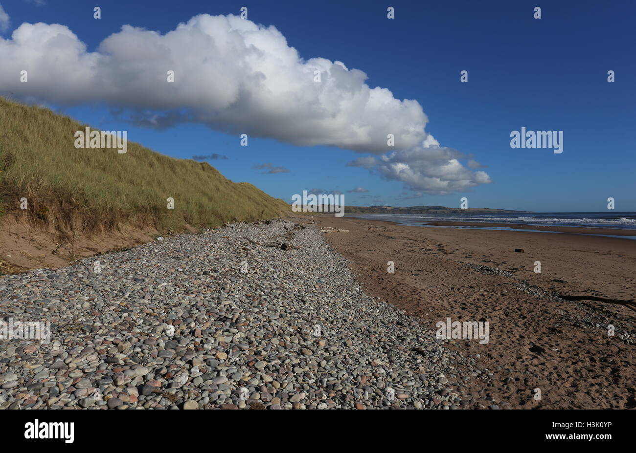 Shingle on beach Montrose bay Angus Scotland October 2016 Stock Photo ...