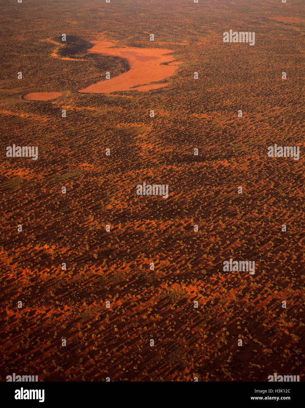 Sand dunes desert scrub great hi-res stock photography and images - Alamy
