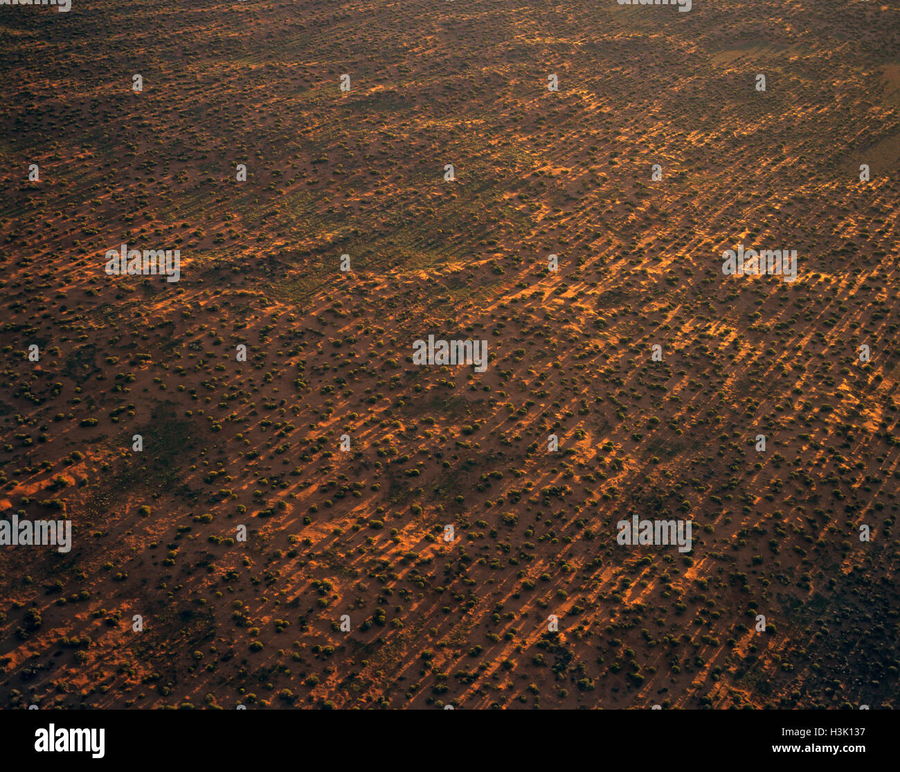 Great Victoria Desert Stock Photo - Alamy
