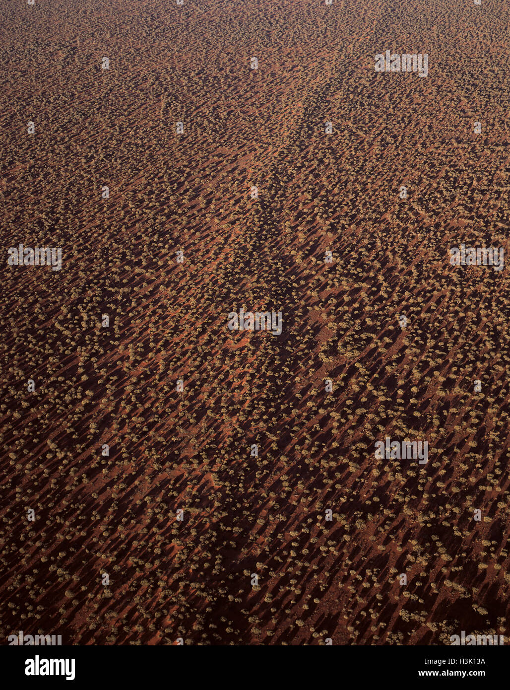 Great Victoria Desert, undulating plain with low dunes Stock Photo - Alamy