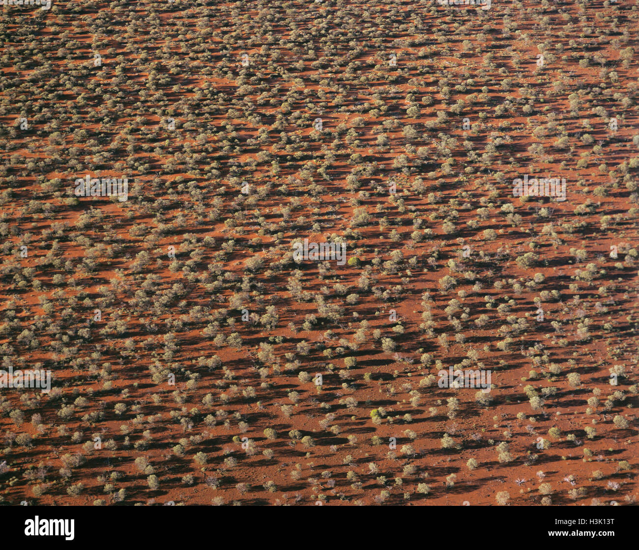 Great Victoria Desert Stock Photo - Alamy