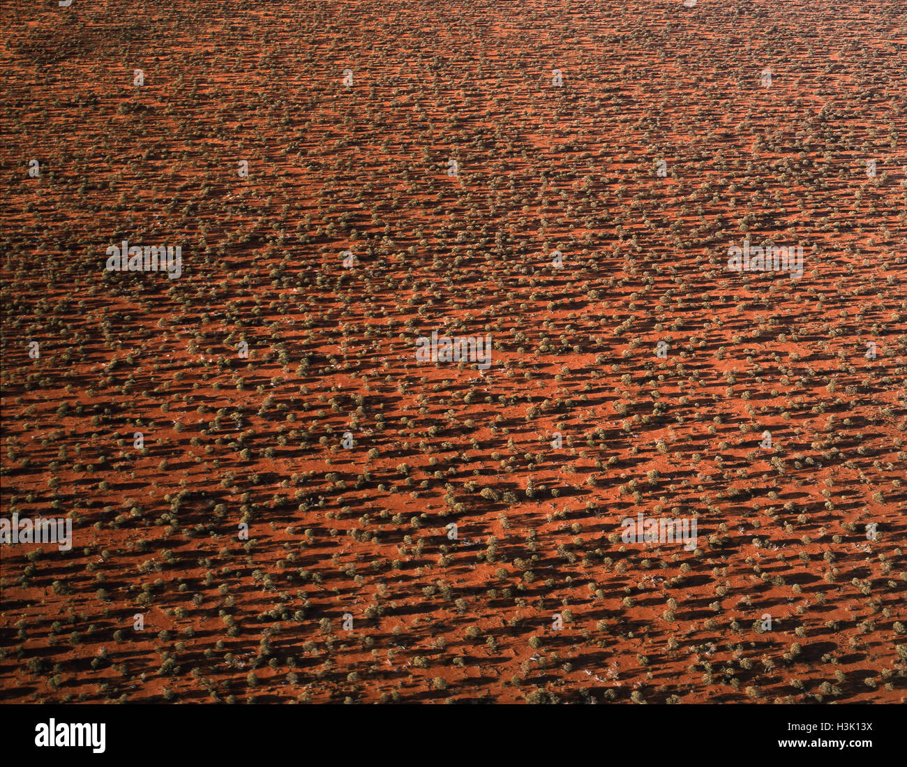 Great Victoria Desert Stock Photo - Alamy