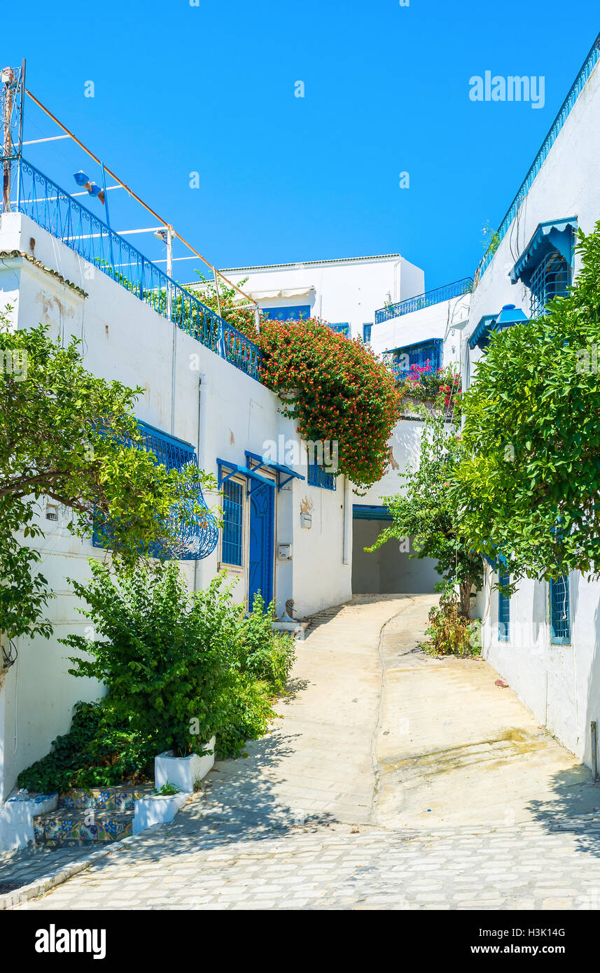 Sidi Bou Said is the popular tourist village located on the hilly area ...