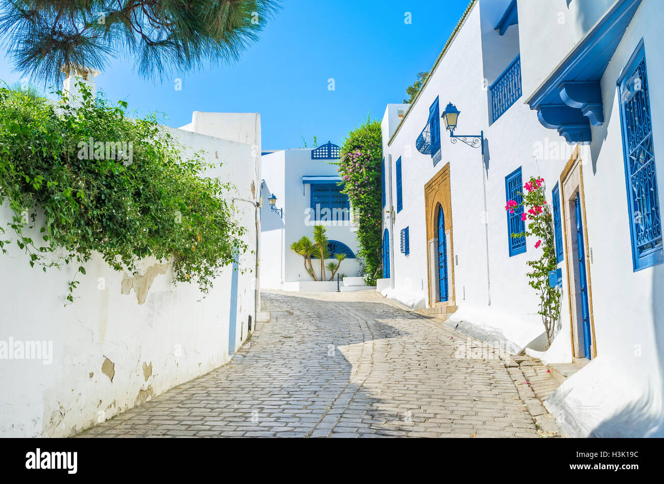 Sidi Bou Said Architecture High Resolution Stock Photography and Images ...