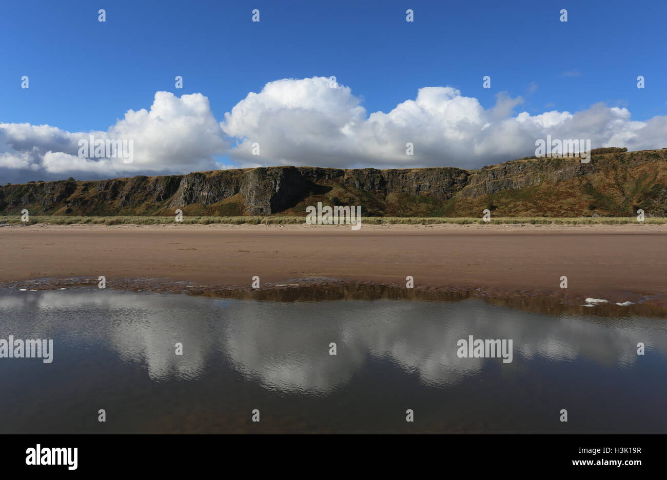 Cliffs and clouds reflected St Cyrus Nature Reserve Scotland October ...