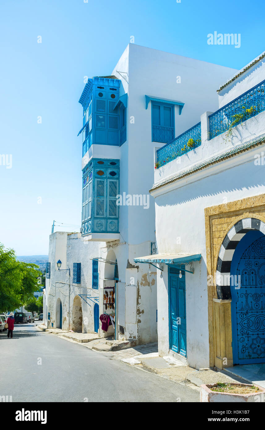 The beautiful villas and cottages of Sidi Bou Said are the fine ...