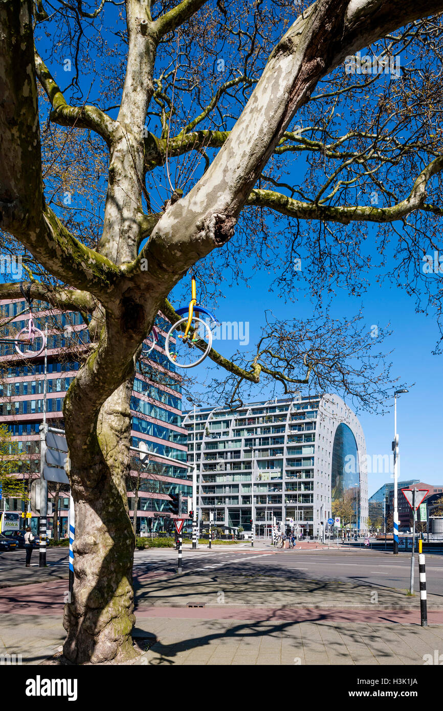 Long distance view of market and square with tree. Market Hall ...