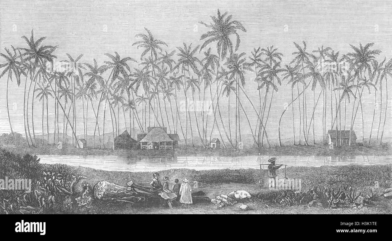 Hawaii antique Black and White Stock Photos & Images - Alamy