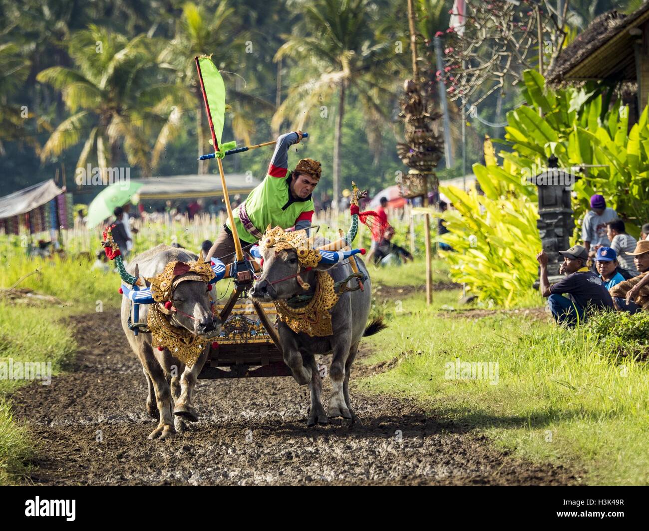 Makepung 2016 hi-res stock photography and images - Alamy