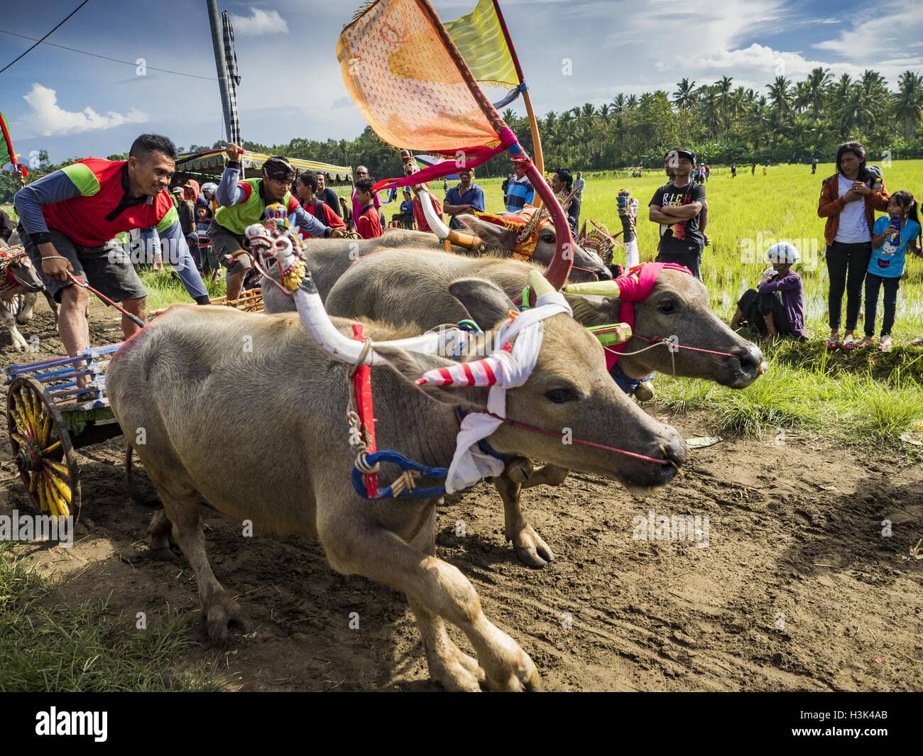 Buffalo race track hi-res stock photography and images - Alamy