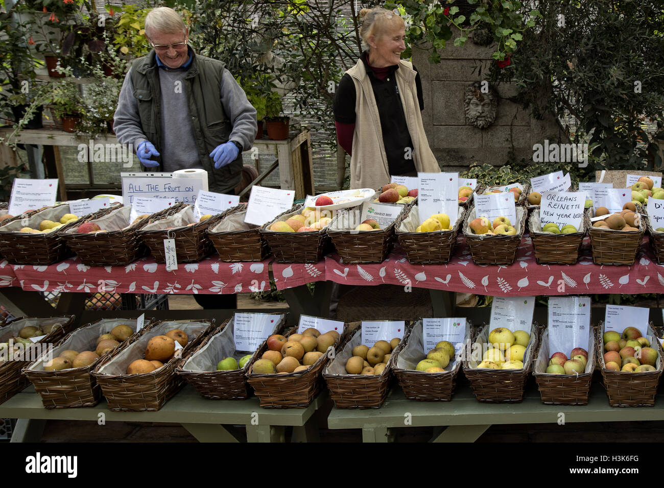 Apple Day in the UK Stock Photo - Alamy