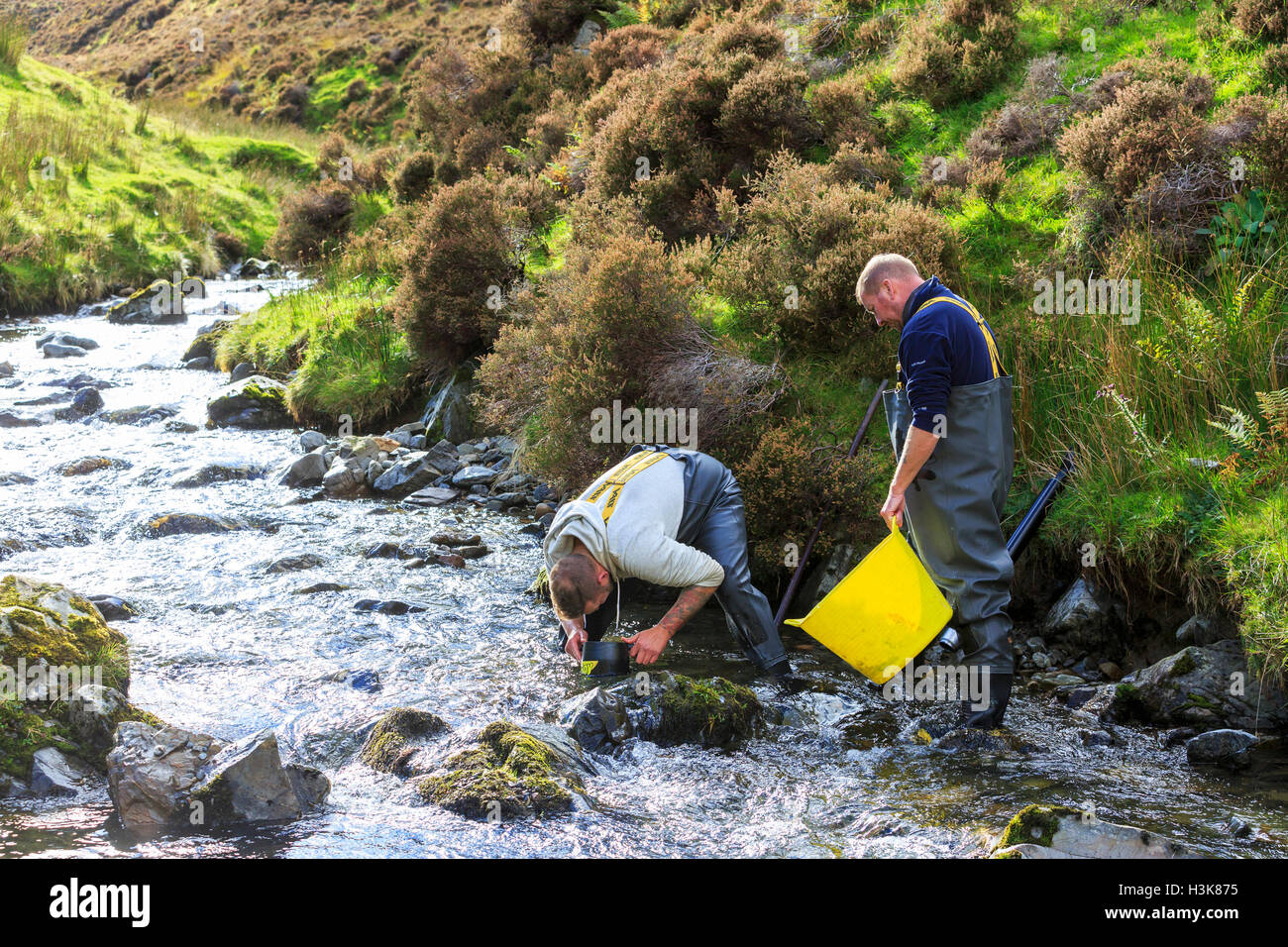 Gold panning wanlockhead hi-res stock photography and images - Alamy