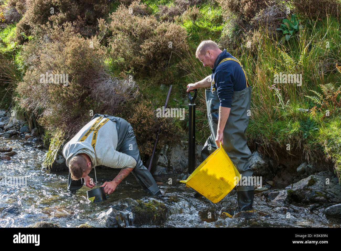 Gold pan sift hi-res stock photography and images - Alamy