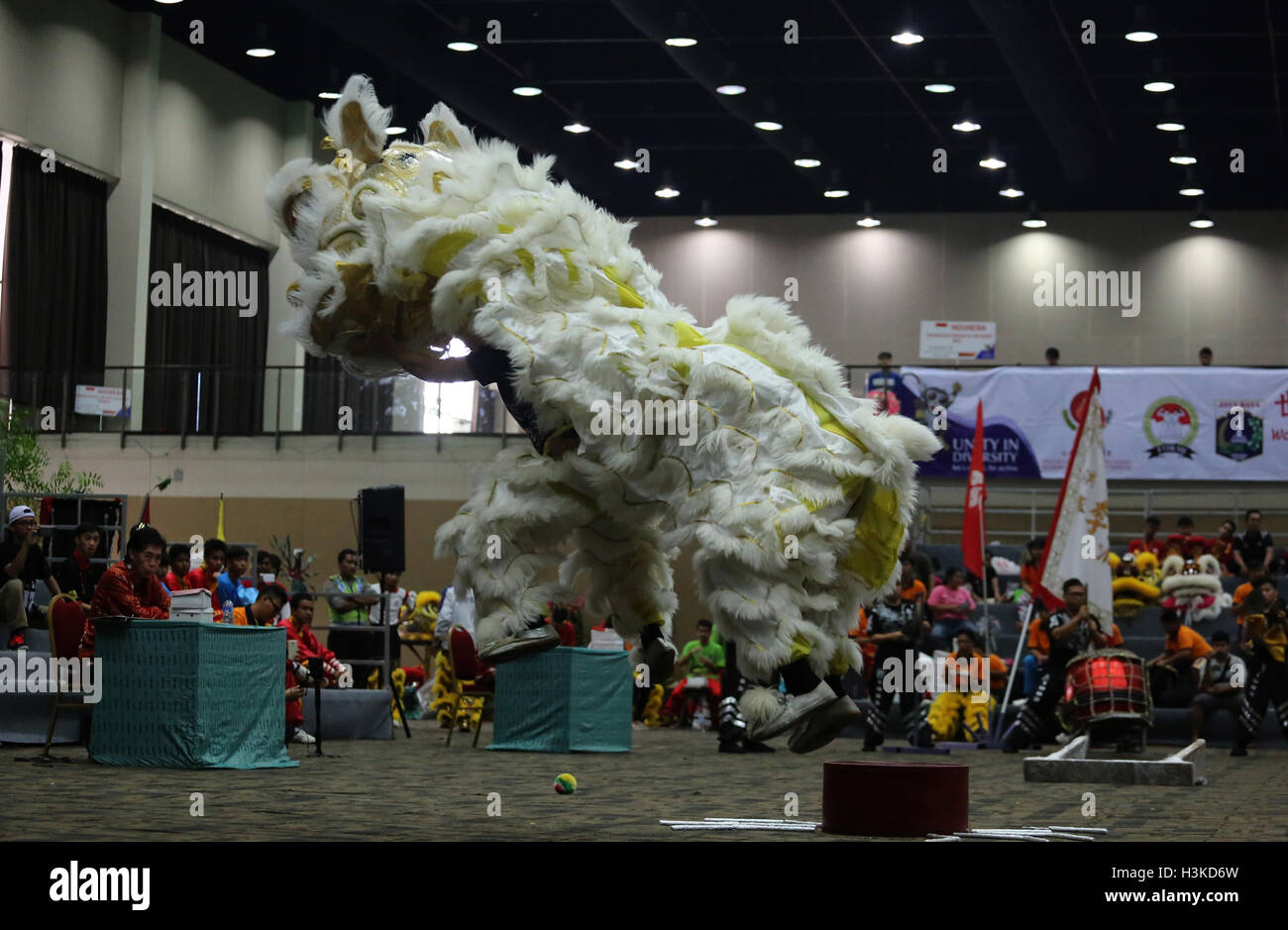 Jakarta, Jakarta, Indonesia. 10th Oct, 2016. Lion dance TAFISA World ...