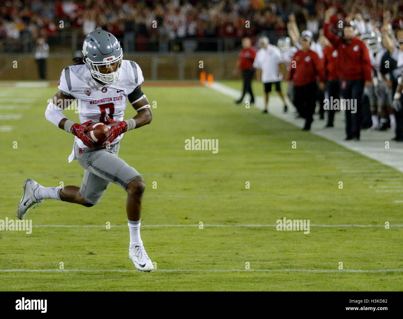 Washington cougars football hi-res stock photography and images - Alamy