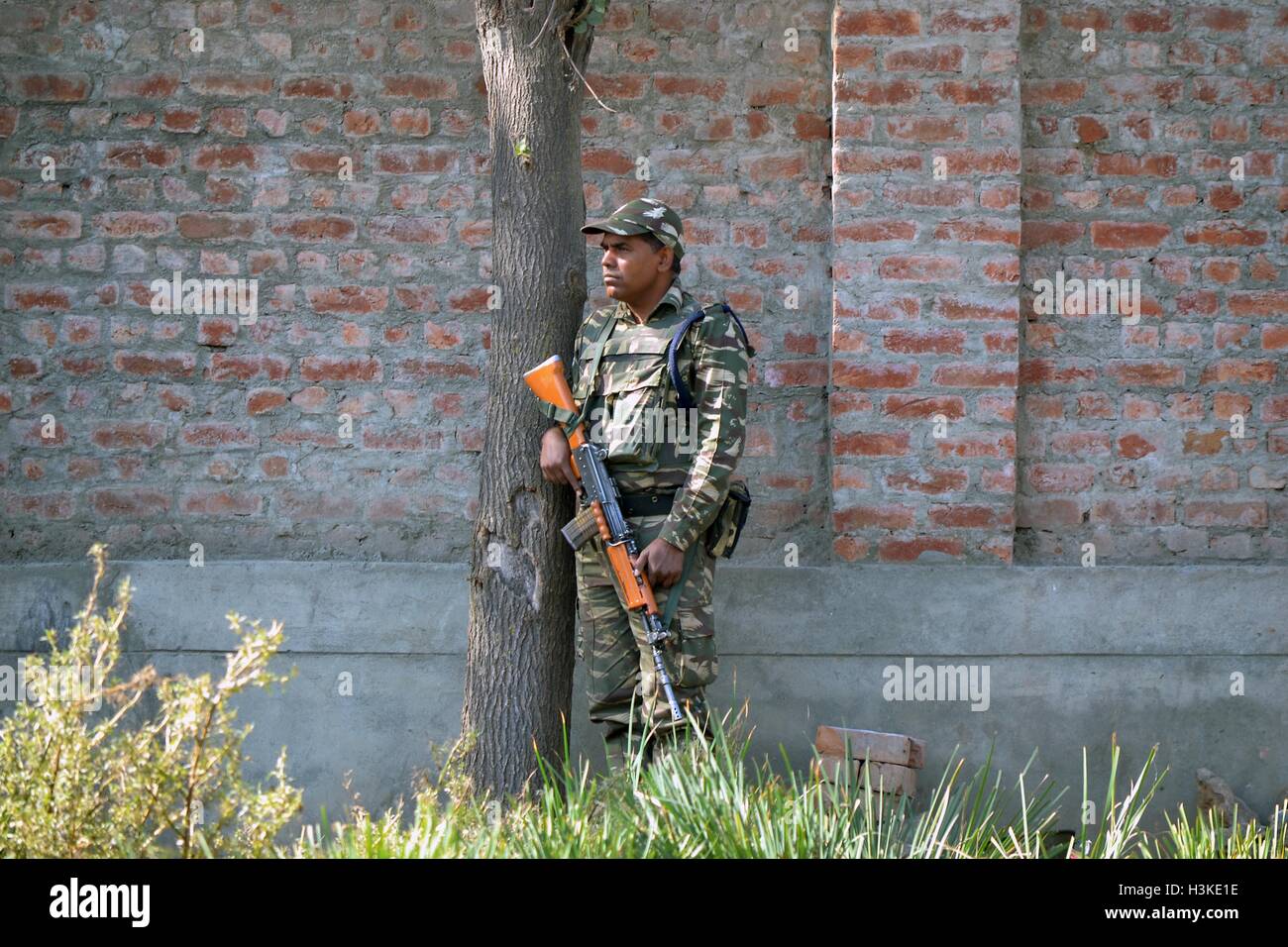 Pampore, Indian Kashmir. 10th Oct, 2016. An army soldier takes up a ...