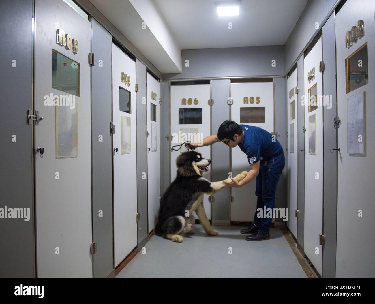 Wuhan chinas hubei province 10th hi-res stock photography and images ...
