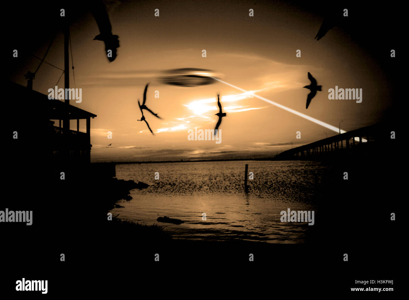 UFO fires beam downward as birds scatter Stock Photo - Alamy