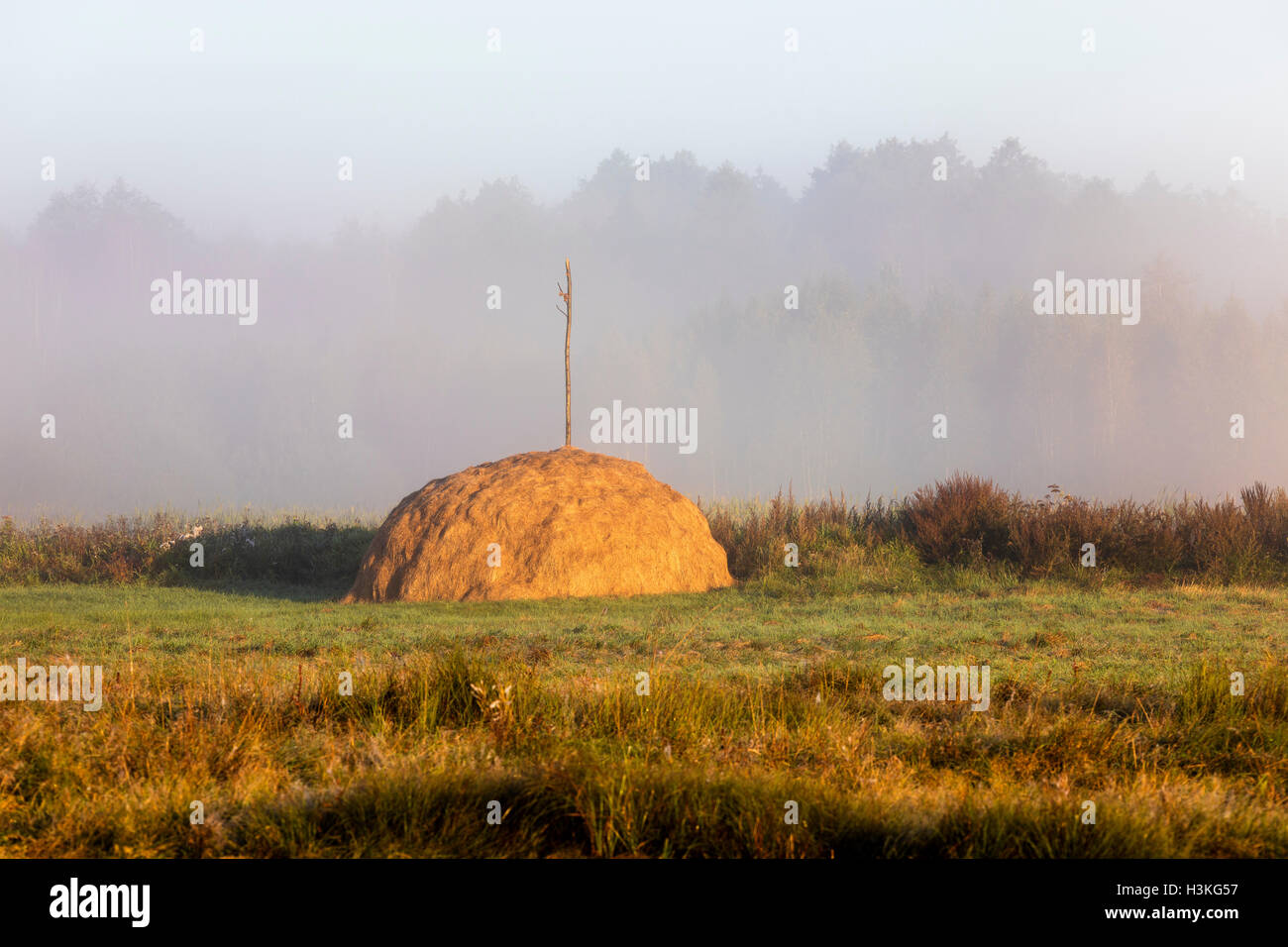 Traditional Haystack High Resolution Stock Photography and Images - Alamy