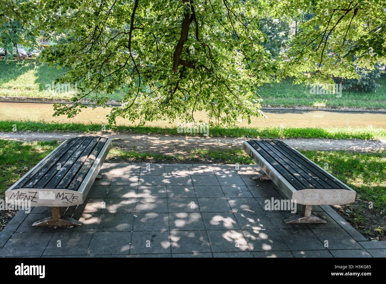 Benches under big tree Stock Photo - Alamy