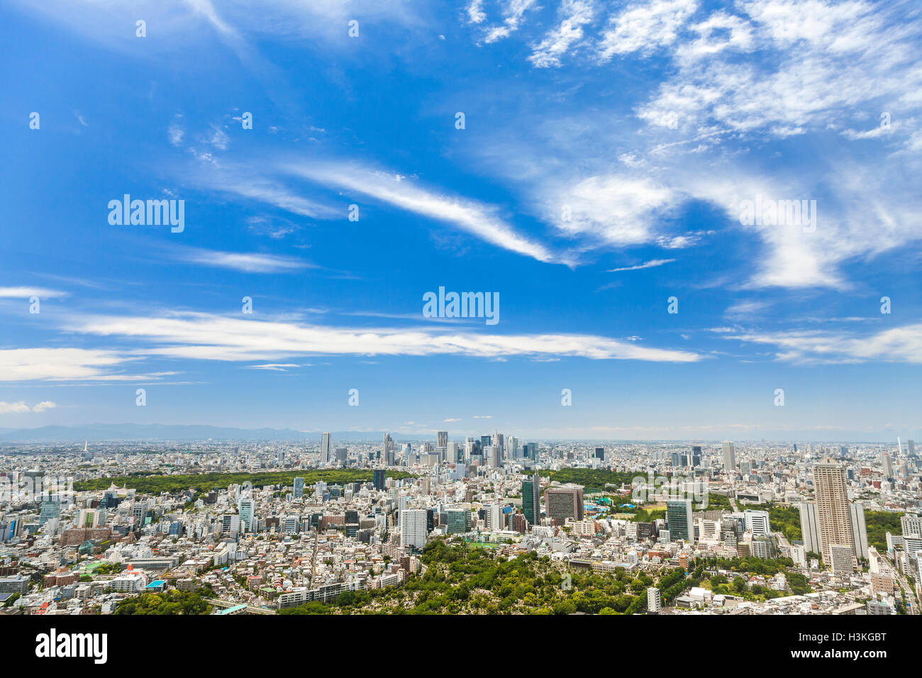 Aerial view of houses, parks, skyscrapers and office buildings in Tokyo ...