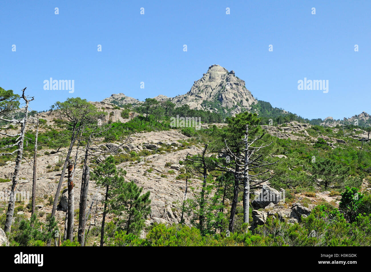 U diamante hi-res stock photography and images - Alamy