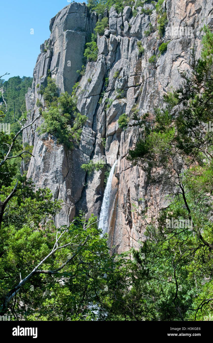 Cascade piscia di gallo hi-res stock photography and images - Alamy