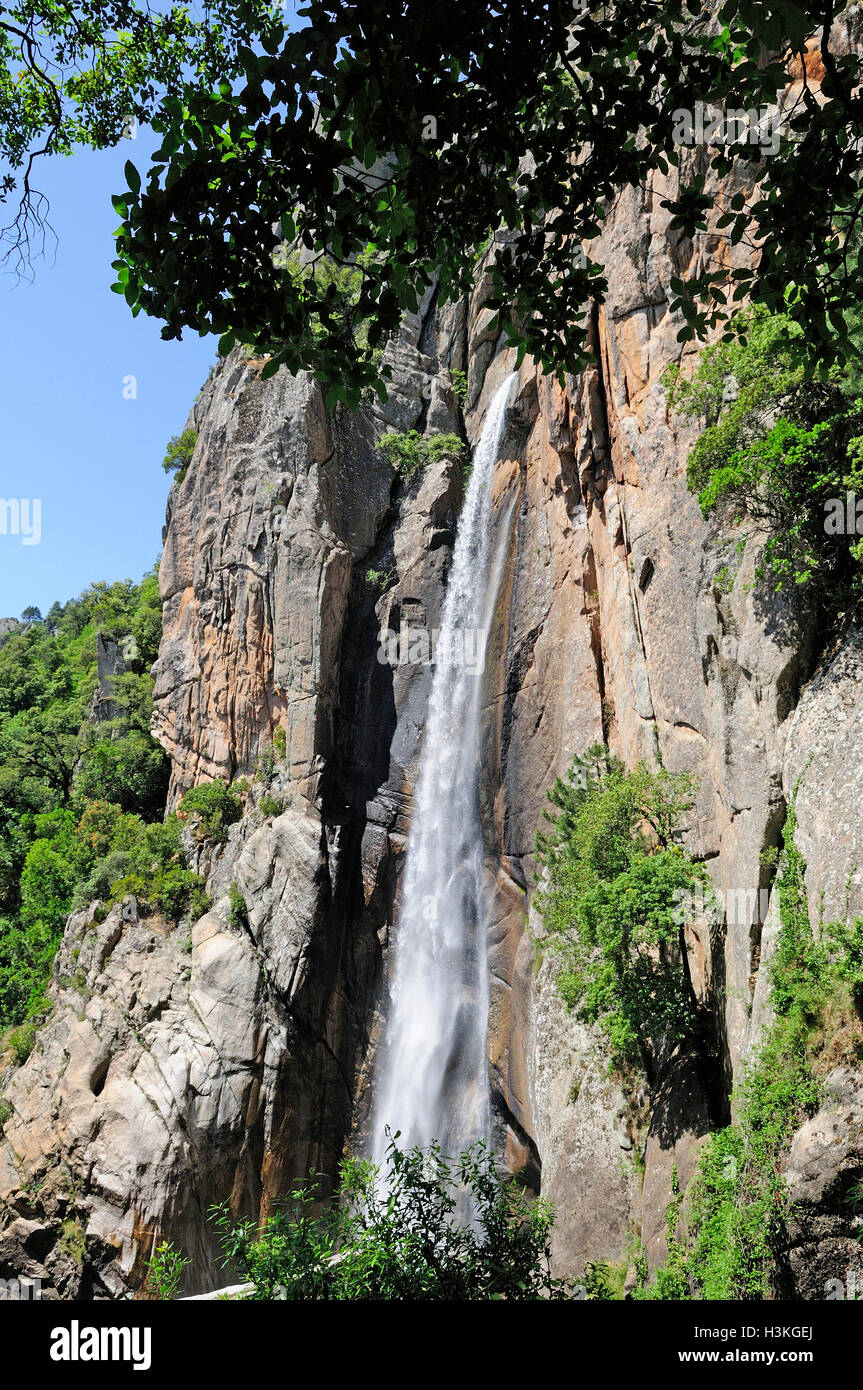Cascade piscia di gallo hi-res stock photography and images - Alamy