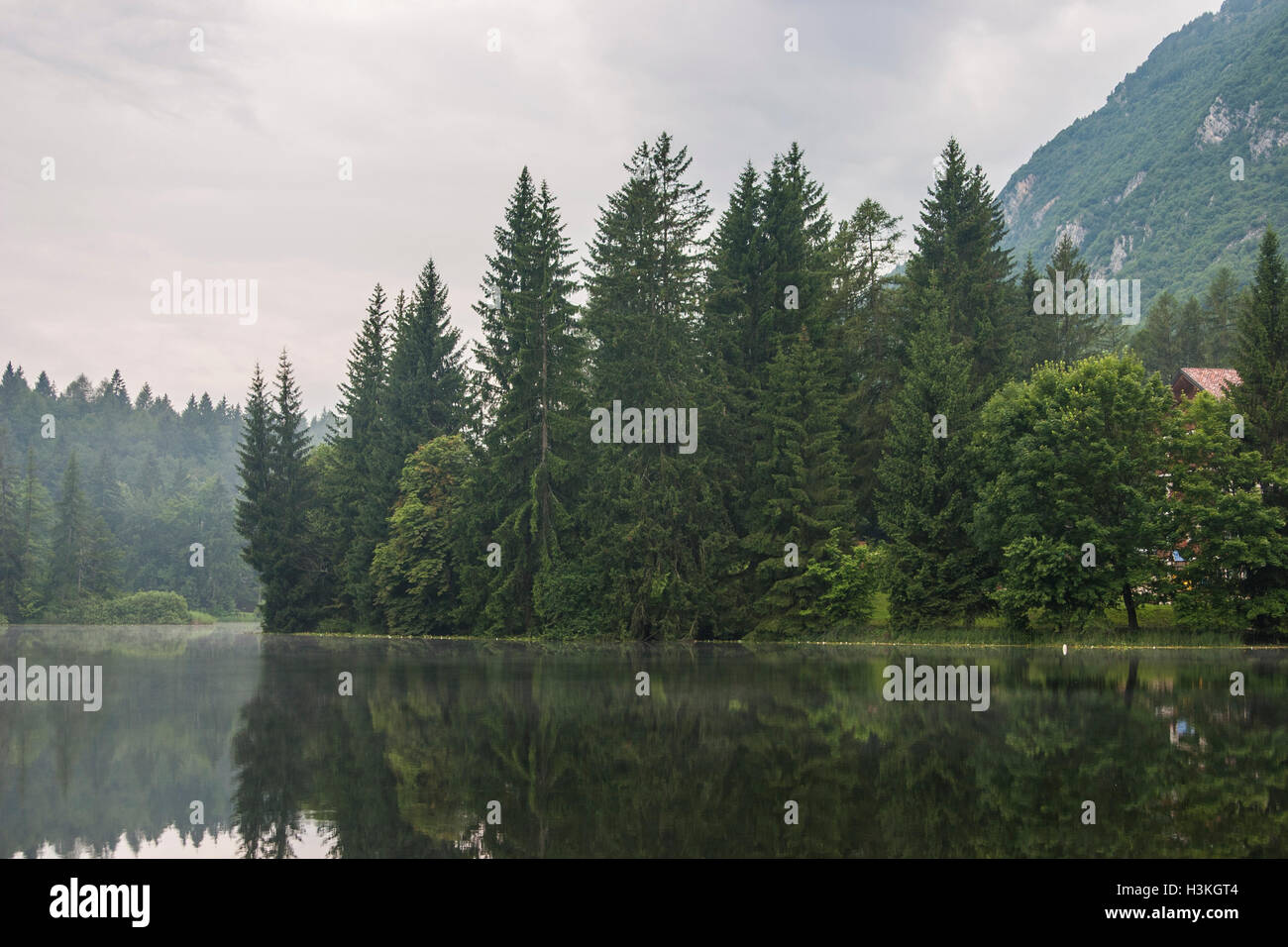 Lake in morning with mist over the water Stock Photo - Alamy