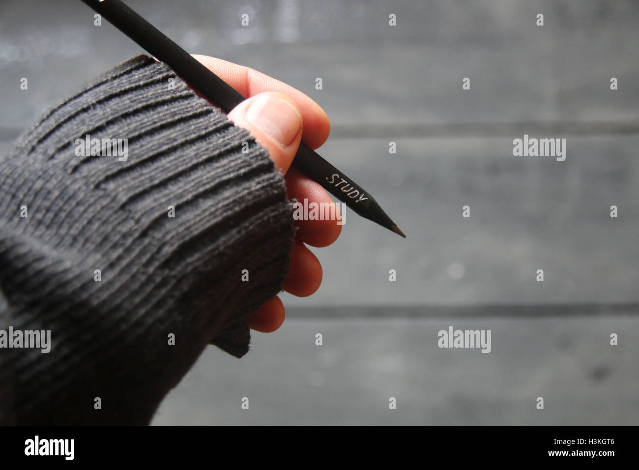 Study or school idea - inscription on pencil Stock Photo - Alamy