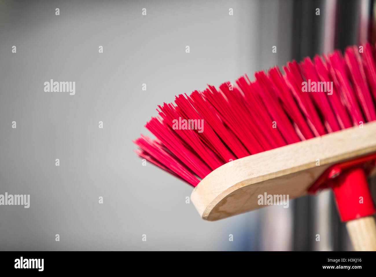 Red brush head redhead Stock Photo - Alamy