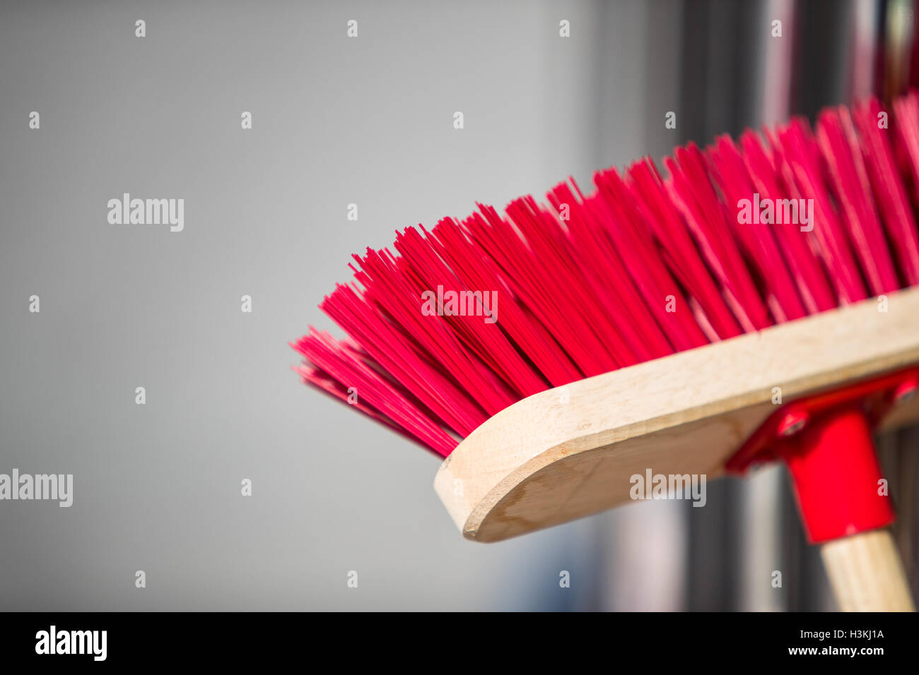 Brush head hi-res stock photography and images - Alamy