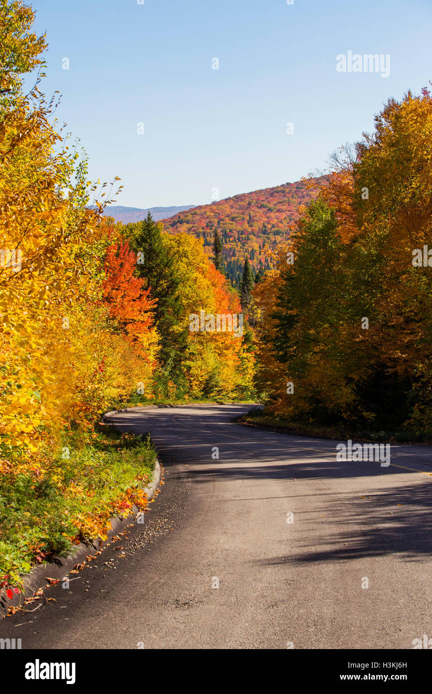 Spectacular, colorful fall road in Mont-Tremblant national park-Canada ...