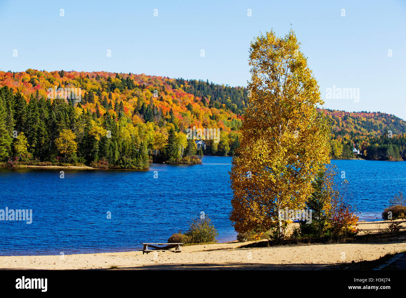 Spectacular, colorful fall landscape in Mont-Tremblant national park ...