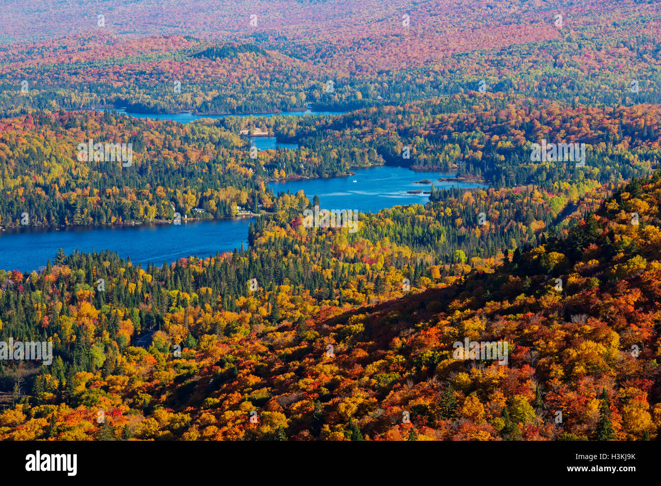 Spectacular, colorful fall landscape in Mont-Tremblant national park ...