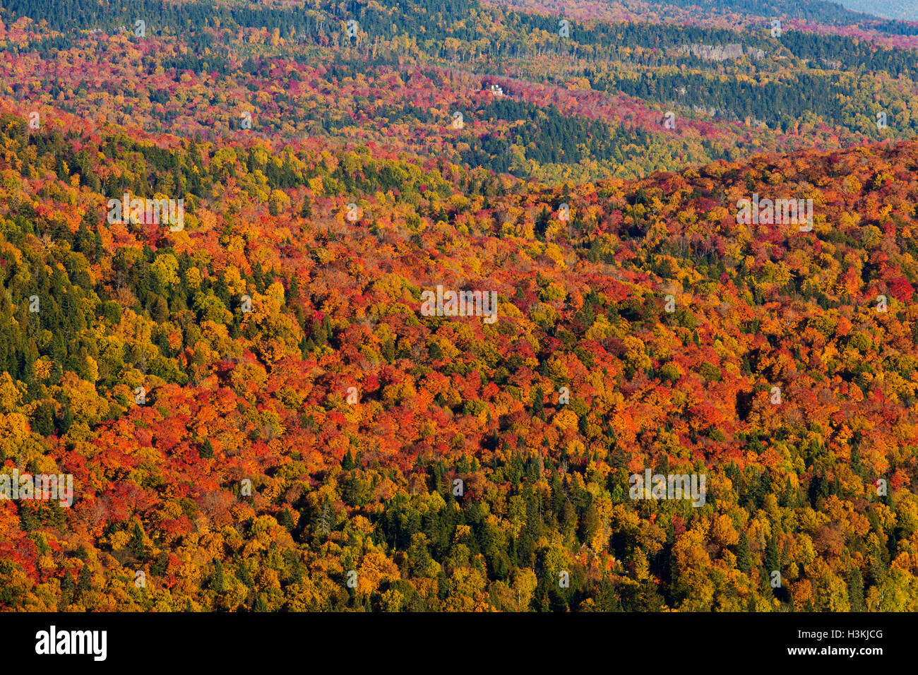 Spectacular, colorful fall landscape in Mont-Tremblant national park ...