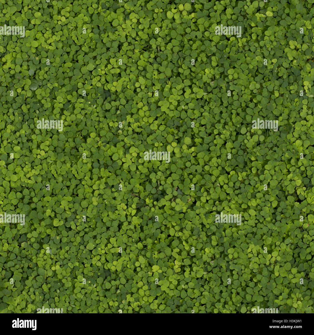 Four patterns hi-res stock photography and images - Alamy