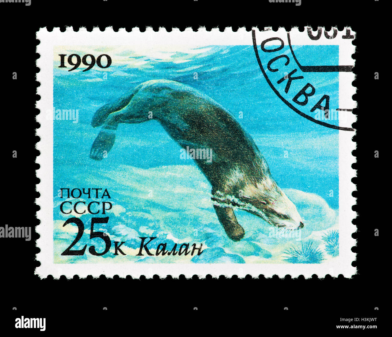 Postage stamp from the Soviet Union depicting a sea otter Stock Photo ...