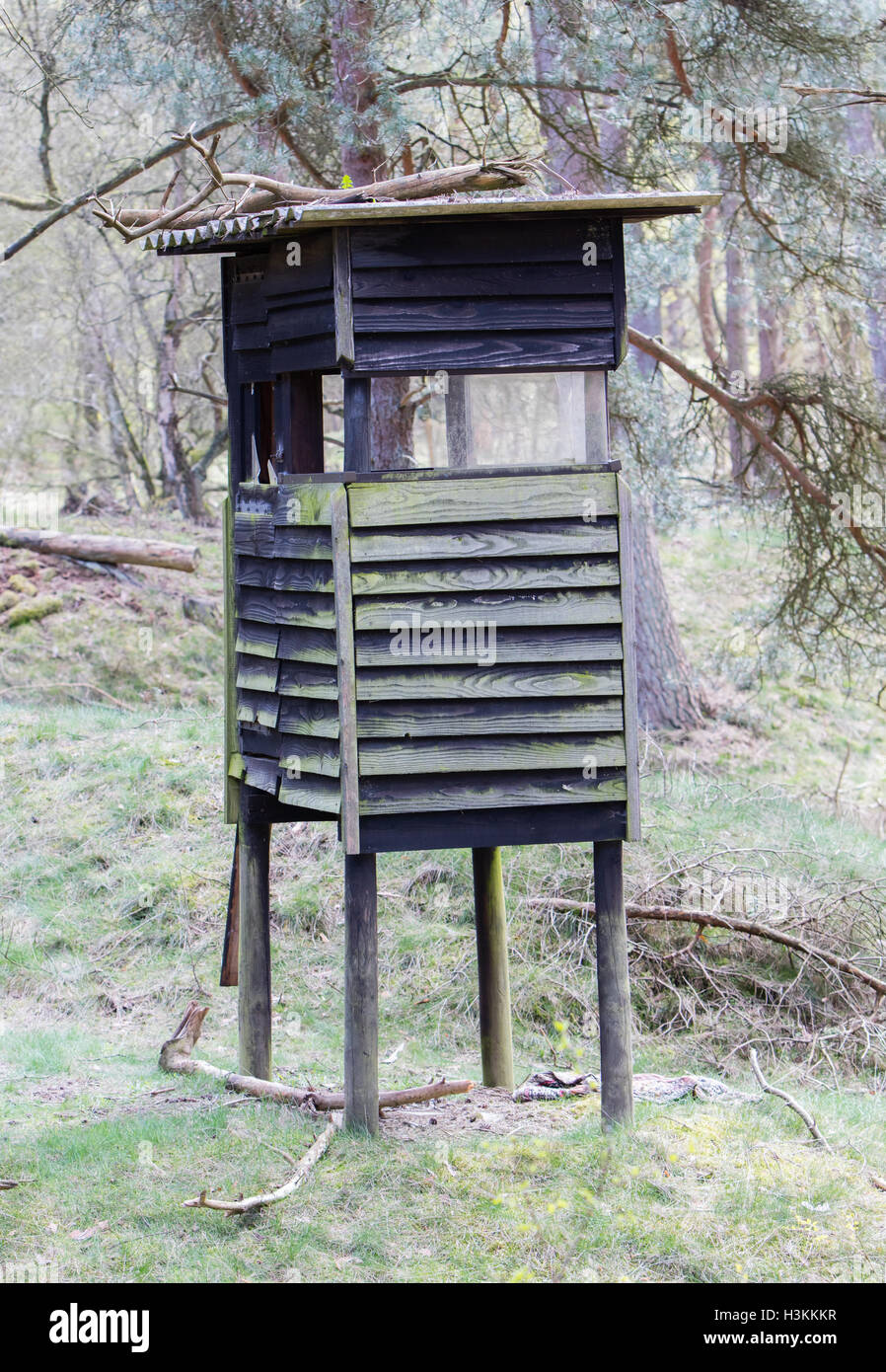Old wildlife observation point in the Netherlands Stock Photo - Alamy