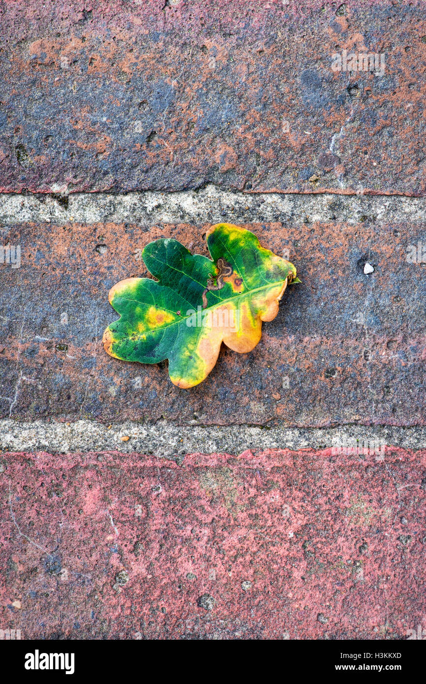 Brick paths hi-res stock photography and images - Alamy