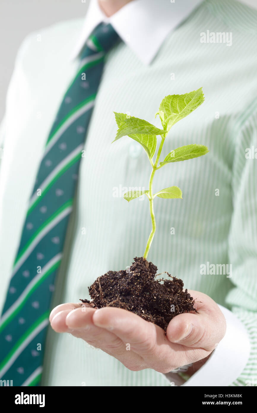 Eco sapling hi-res stock photography and images - Alamy